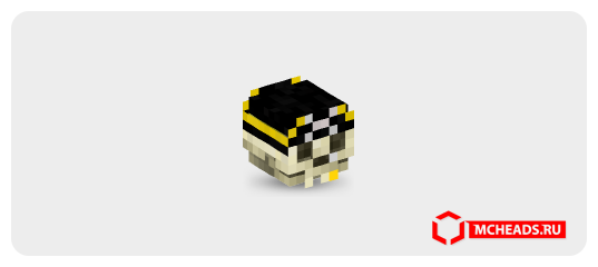 Skeleton Pirate — 81493 — Minecraft head