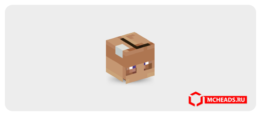 Cardboard Steve — Minecraft head