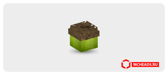 Acorn — Minecraft head