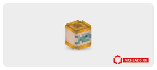 Fish Can — Minecraft head