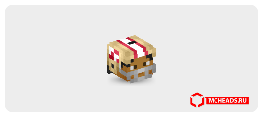 Football Player — 2321 — Minecraft head