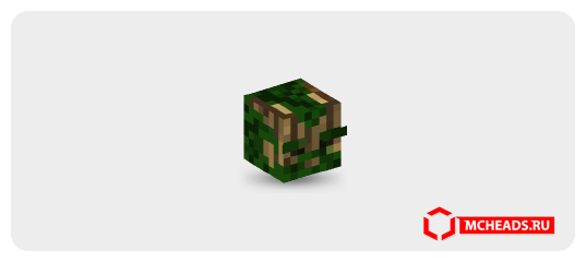 Ent — 3224 — Minecraft head