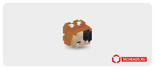 Boy in Gingerbread Costume — Minecraft head