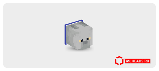 Collared British Shorthair Cat (blue) — Minecraft head