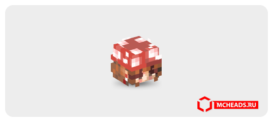 Женщина — 67899 — Голова Майнкрафт