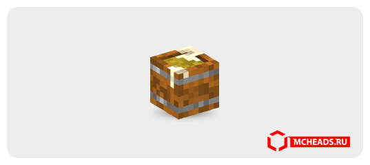 Wooden Jug (full) — Minecraft head