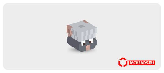 Remy — 41118 — Minecraft head