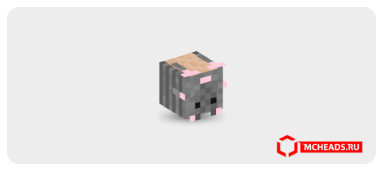 Dead Armadillo — Minecraft head