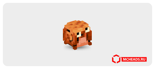 Snail (Orange) — Minecraft head
