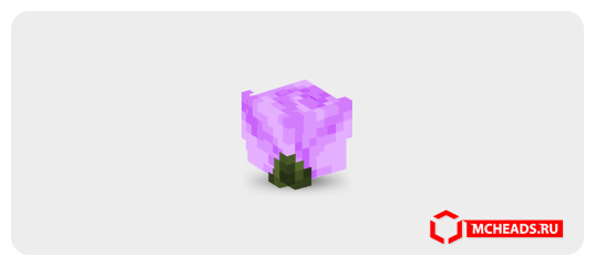 Light Purple Rose — Minecraft head