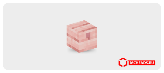 Cherry Plank Apostrophe — 65983 — Minecraft head