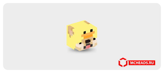Doge in a Costume — Minecraft head