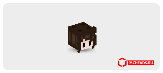 Jaiden Animations — Minecraft head
