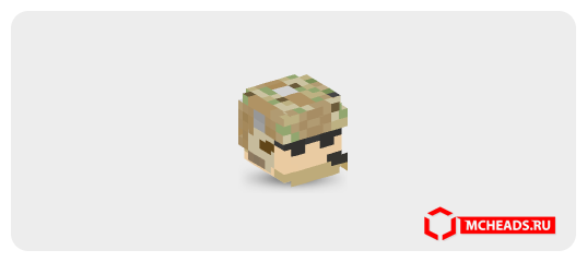 Soldier — 67273 — Minecraft head