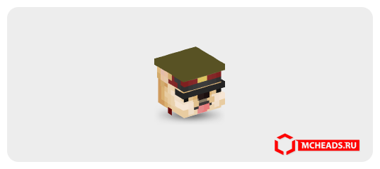 Doge Captain — Minecraft head