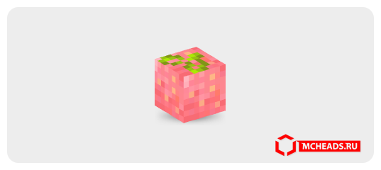 Jellyseed Fruit — Minecraft head