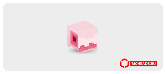 Tape (pink) — Minecraft head