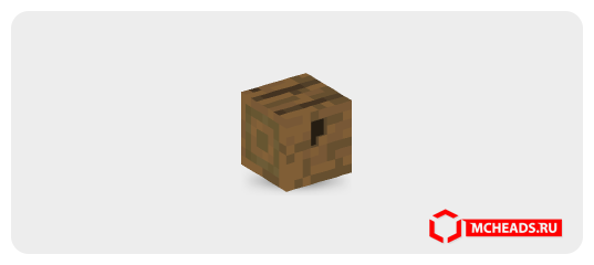 Spruce Apostrophe — Minecraft head