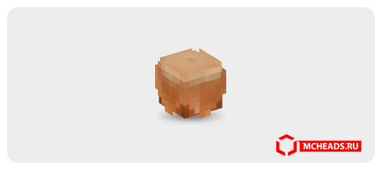 Hazelnut — 1214 — Minecraft head