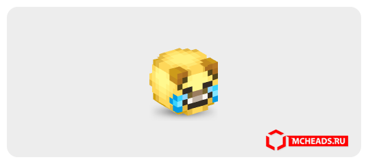 Emoticon Cat Laughing Crying — Minecraft head