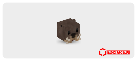 Otter — 2537 — Minecraft head