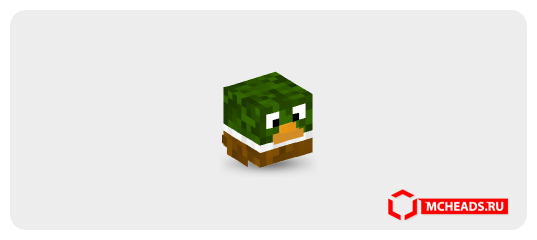 Mallard Duck (male) — 11679 — Minecraft head