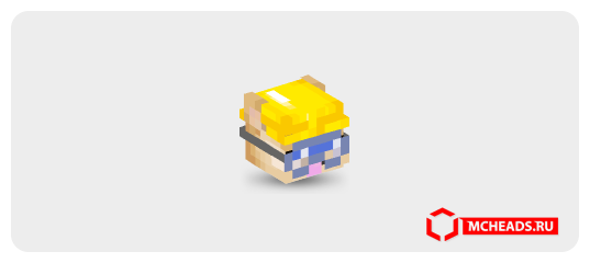 Beaver Builder — Minecraft head