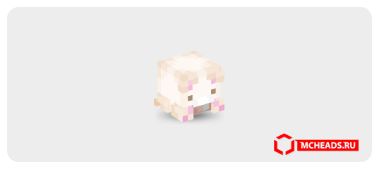 Bongo Cat — Minecraft head