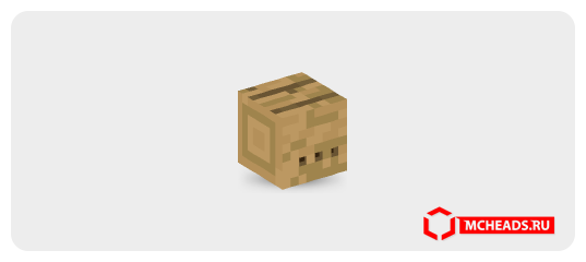 Oak Wood Ellipses — Minecraft head