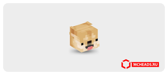 Doge — 63618 — Minecraft head