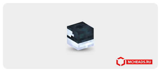 Orca (North East) — Minecraft head
