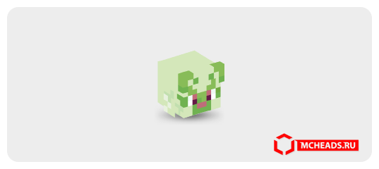 Sprigatito (#906) — Minecraft head