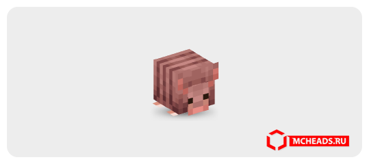 Armadillo — 78612 — Minecraft head