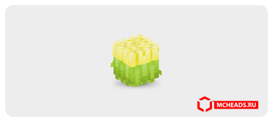 Tulips (yellow) — Minecraft head