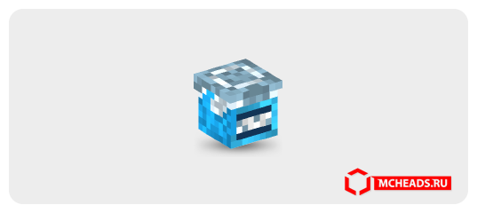 Shampoo Bottle — Minecraft head