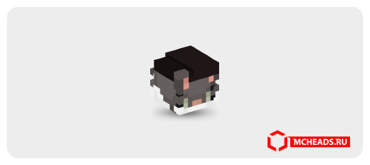Кошка — 95574 — Голова Майнкрафт