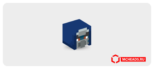 Iceologer — 37859 — Minecraft head