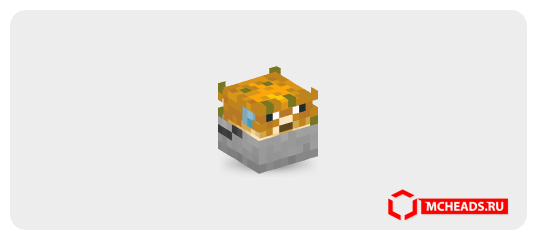 Pufferfish in a Bucket — 18464 — Minecraft head