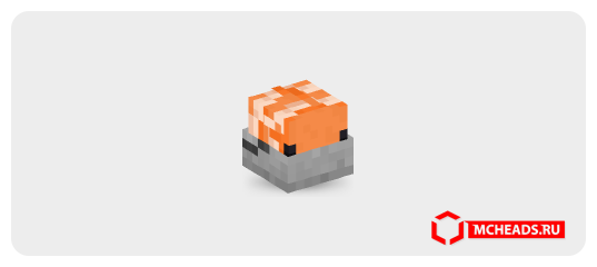 Clownfish in a Bucket — 23430 — Minecraft head