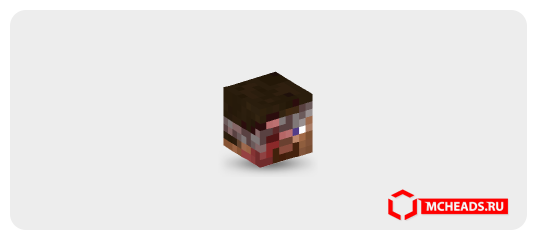 Injured Steve — Minecraft head