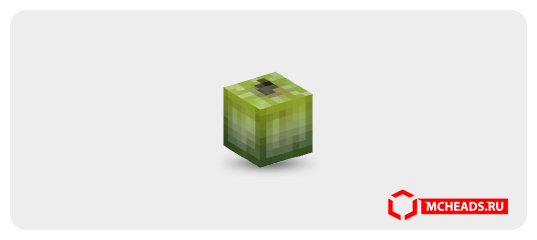 Musk Melon (raw) — 42119 — Minecraft head