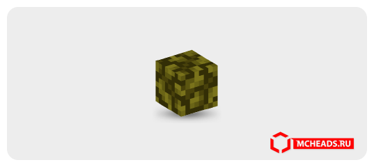 Acacia Leaves — 92084 — Minecraft head