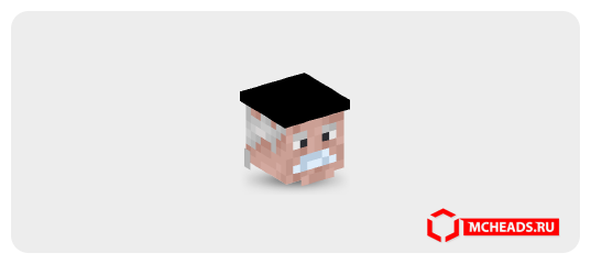 Professor — 8552 — Minecraft head