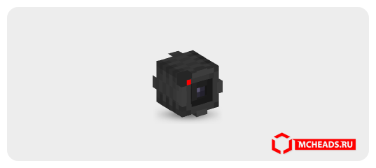 Camera (Lens) — Minecraft head