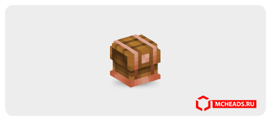 Copper Chest — Minecraft head