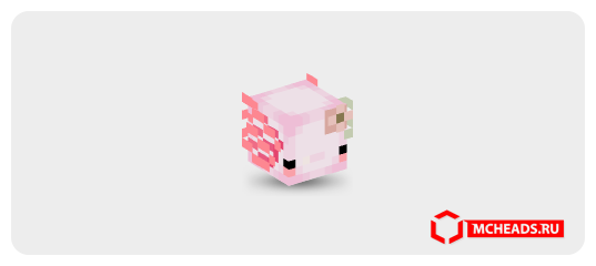 Axolotl — 49489 — Minecraft head