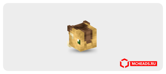 Teto the Fox Squirrel — Minecraft head