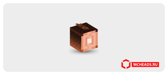 Cooked Fish — 29365 — Minecraft head