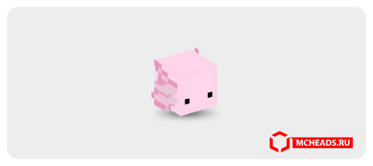 Axolotl — 43730 — Minecraft head