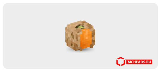 Cantaloupe-Melon (Sliced) — Minecraft head